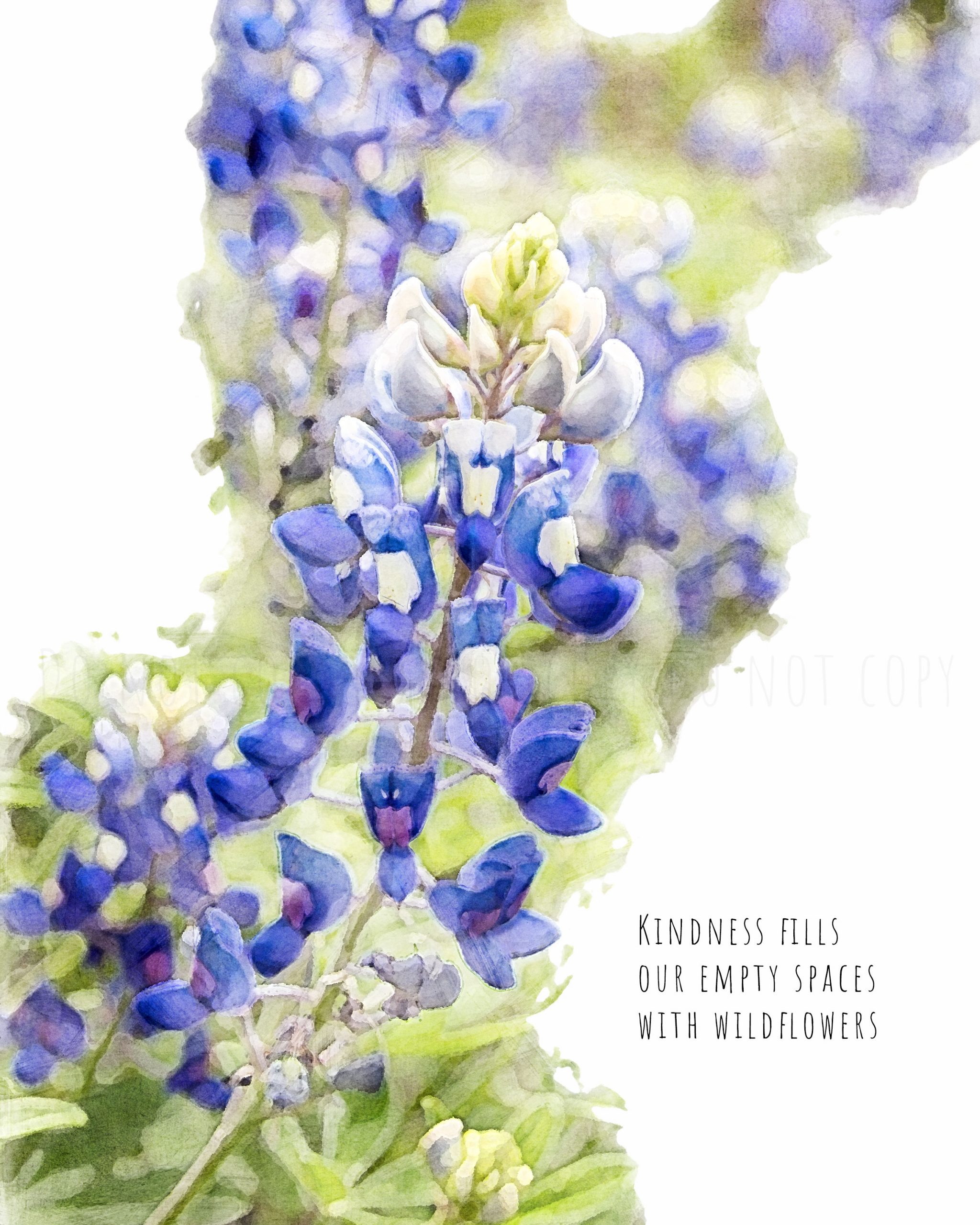 On Kindness and Texas Bluebonnets – Kindness Roots