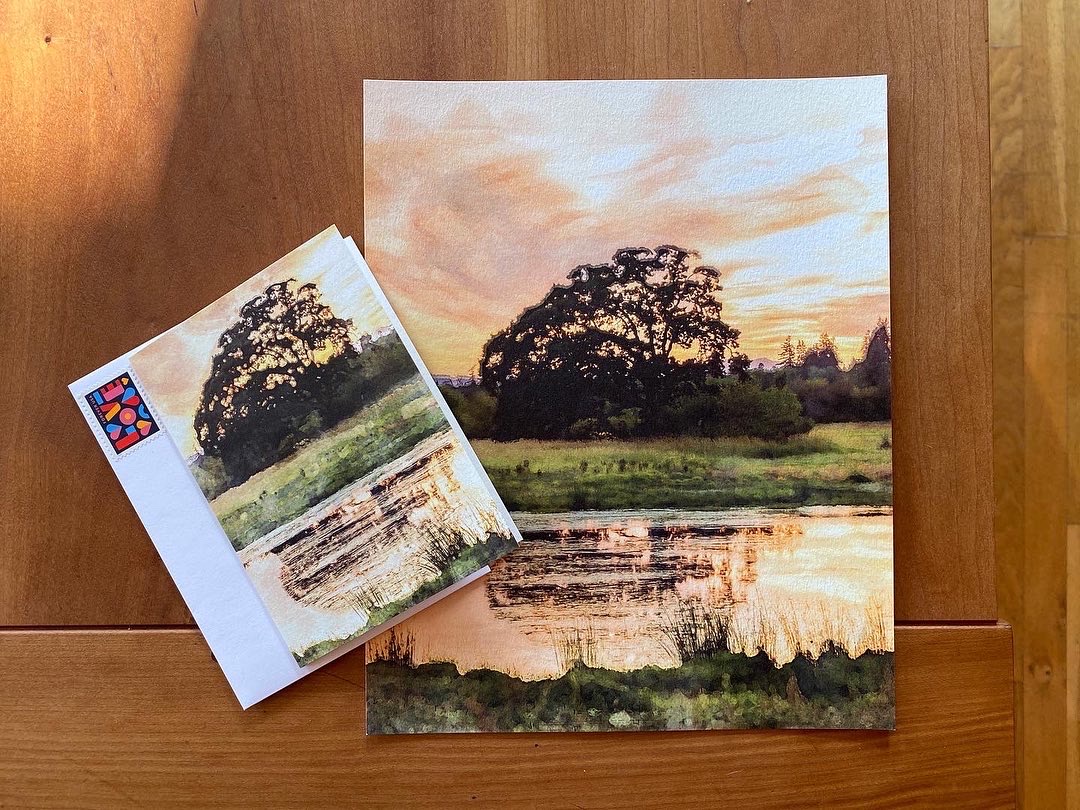 Refuge and Reflections – Kindness Roots